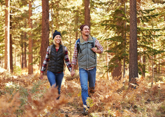 Statement Savings - High Yield Savings Account | Jeanne D’Arc Credit Union